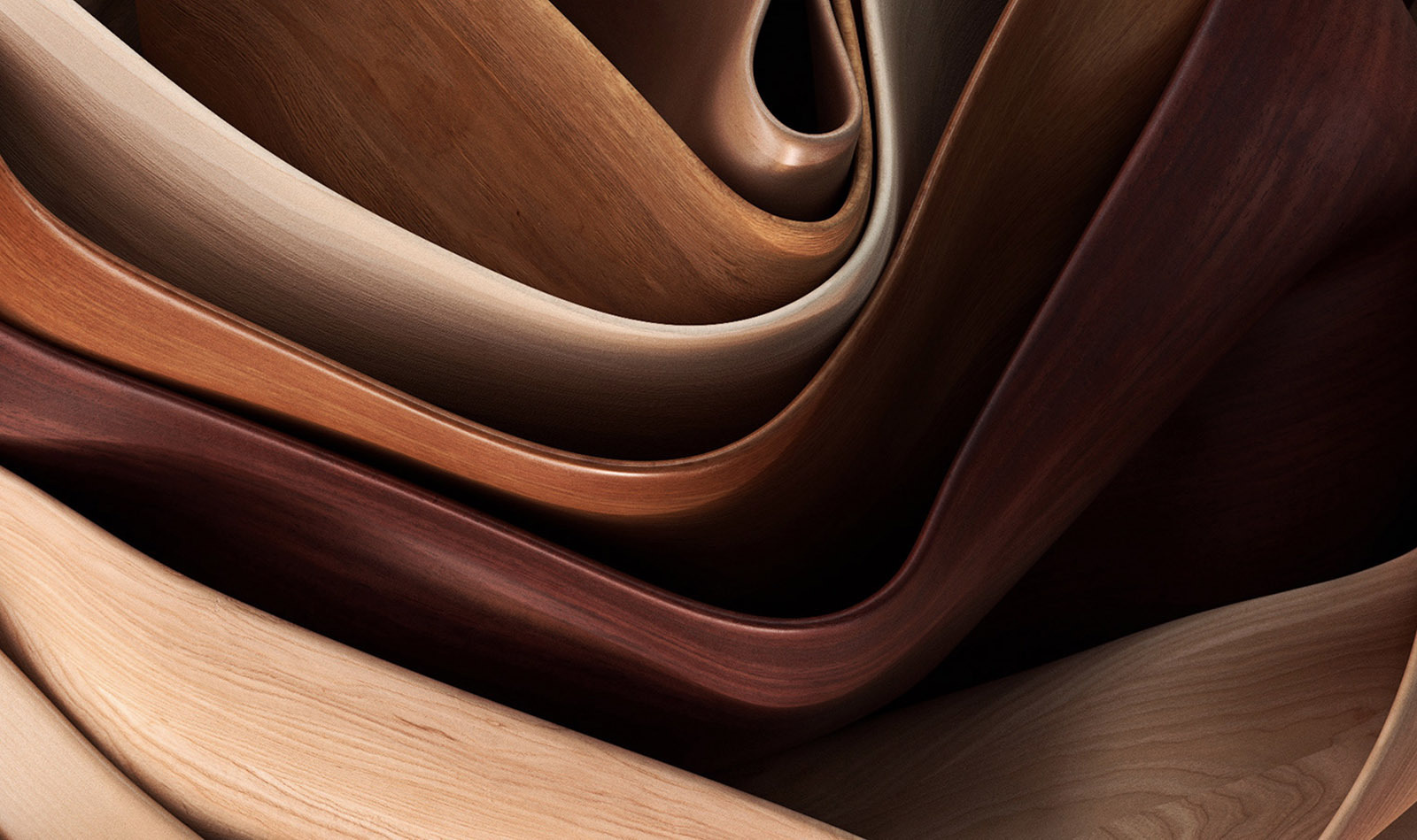 Sinuous, ‘Ply-Able’ Wood Renders by Mike Campau