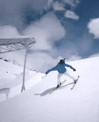 Stocktwits Top 25 Week 2