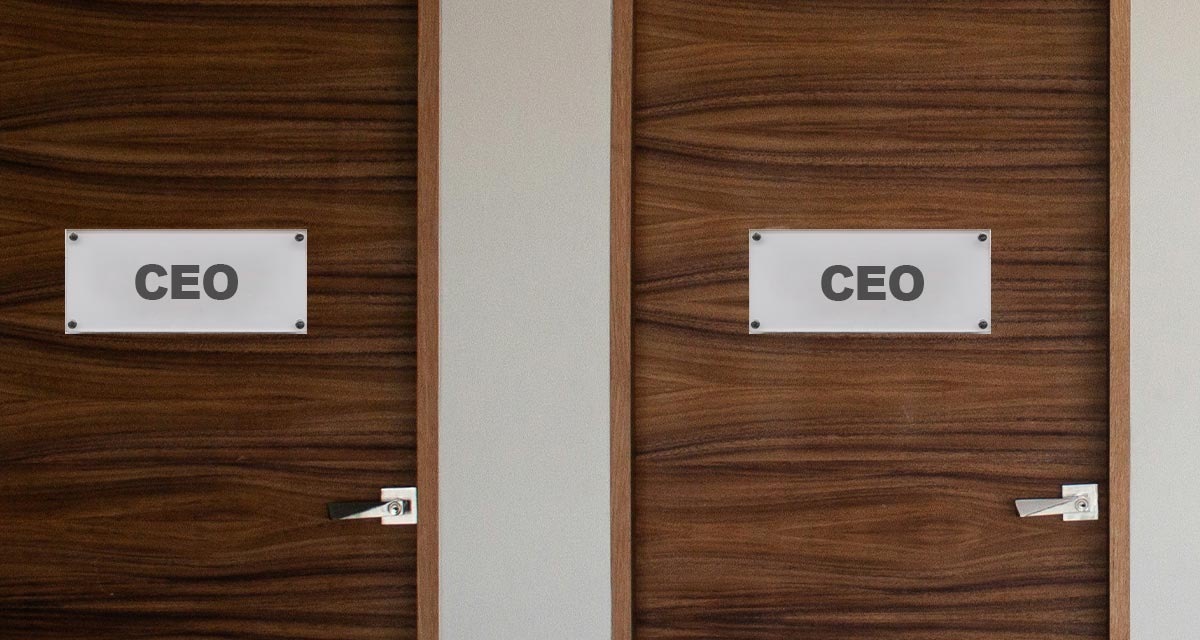 Two CEOs, One Company