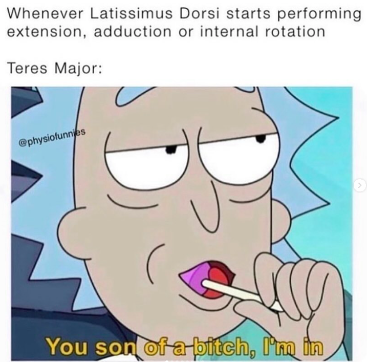 A glimpse - Overuse Injury: How, When & Why?