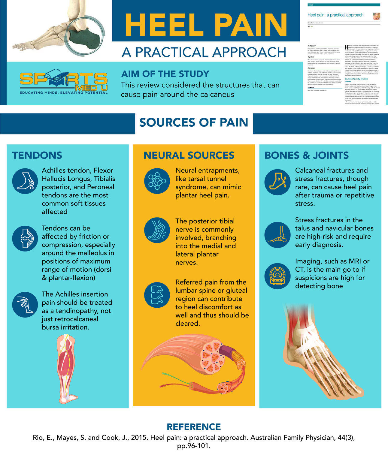 Heel Pain Assessment