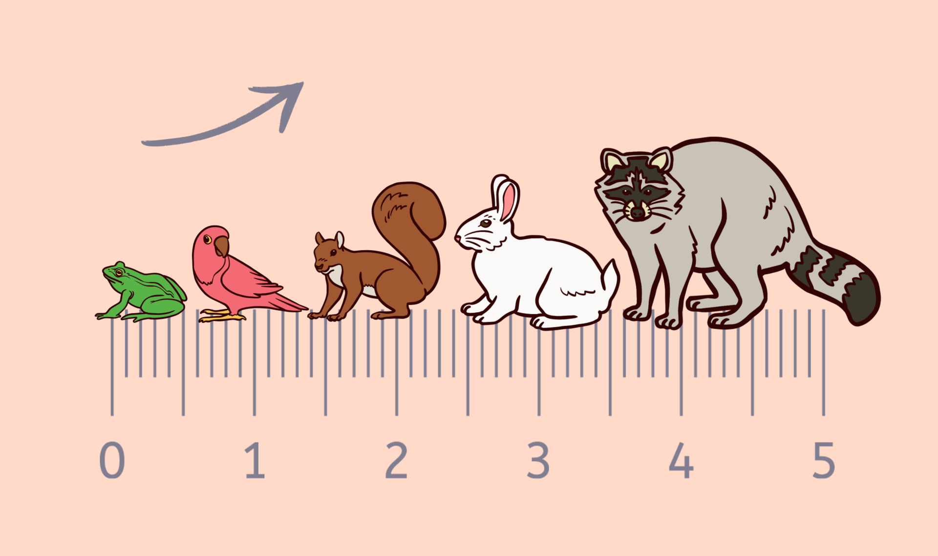 How big is your baby? Animal size comparisons – week by week!