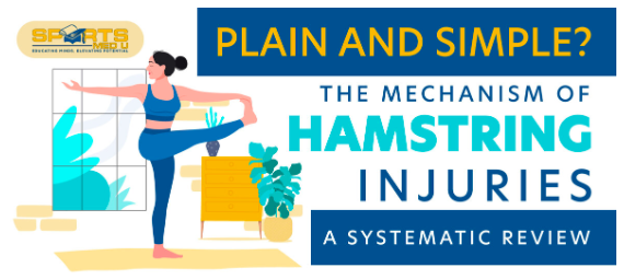 Plain and simple? - The mechanism of hamstring injuries 🦵🤕