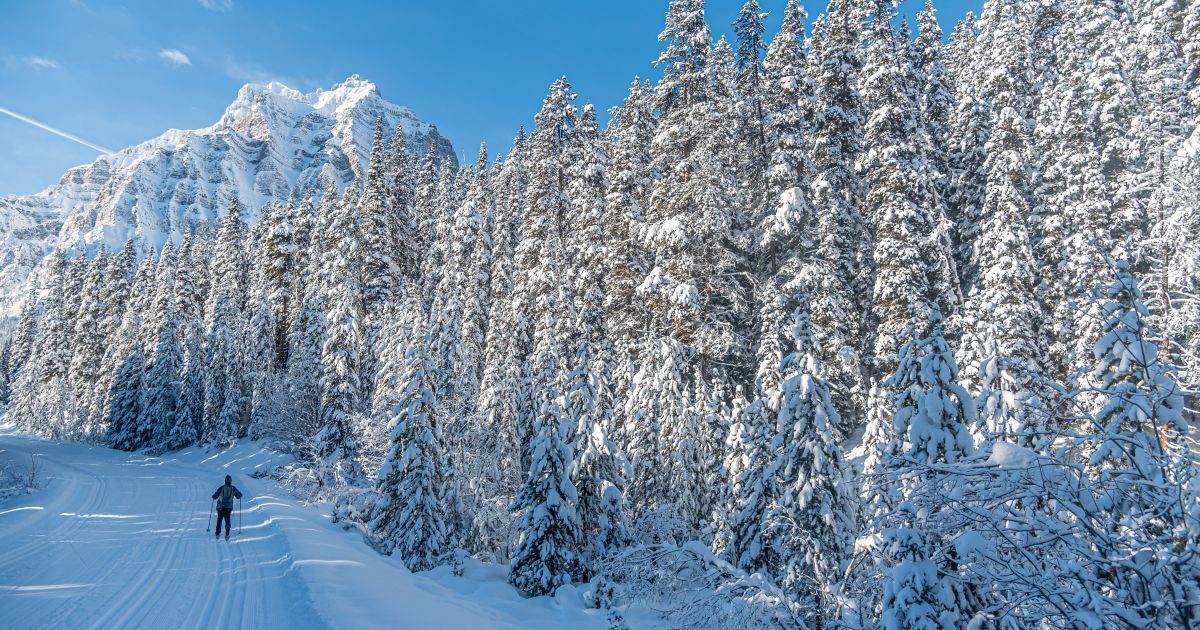 What’s On Banff - Events & Happenings in Banff | April 17, 2025