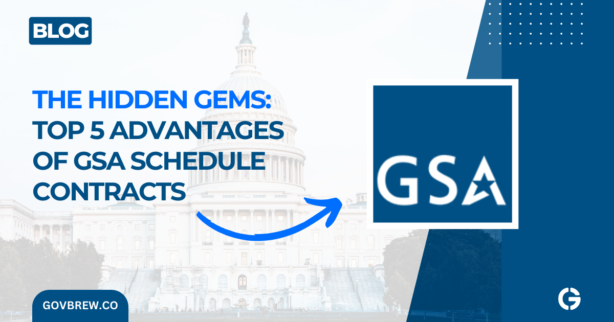 The Hidden Gems: Top 5 Advantages of GSA Schedule Contracts