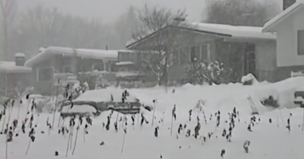 Uncovering Burnaby: Remembering the 1996 ‘Snowstorm of the Century’