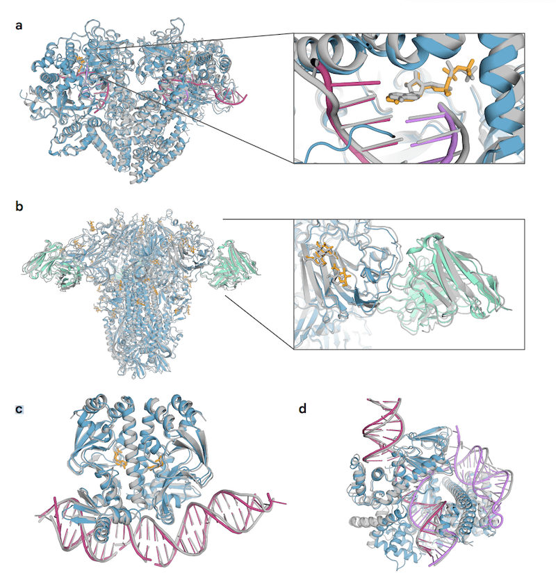DeepMind's AlphaFold now predicts all protein molecules