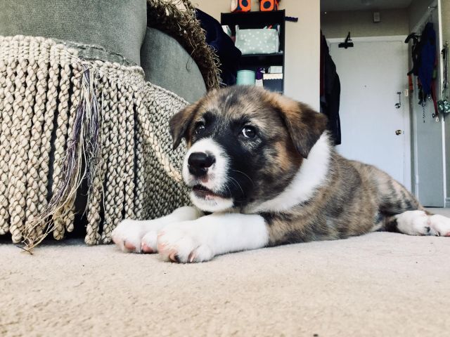 Fun Facts About Body Farms and Other Life Updates