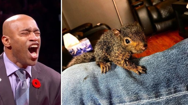 The Memes That Got Us Through Election Day