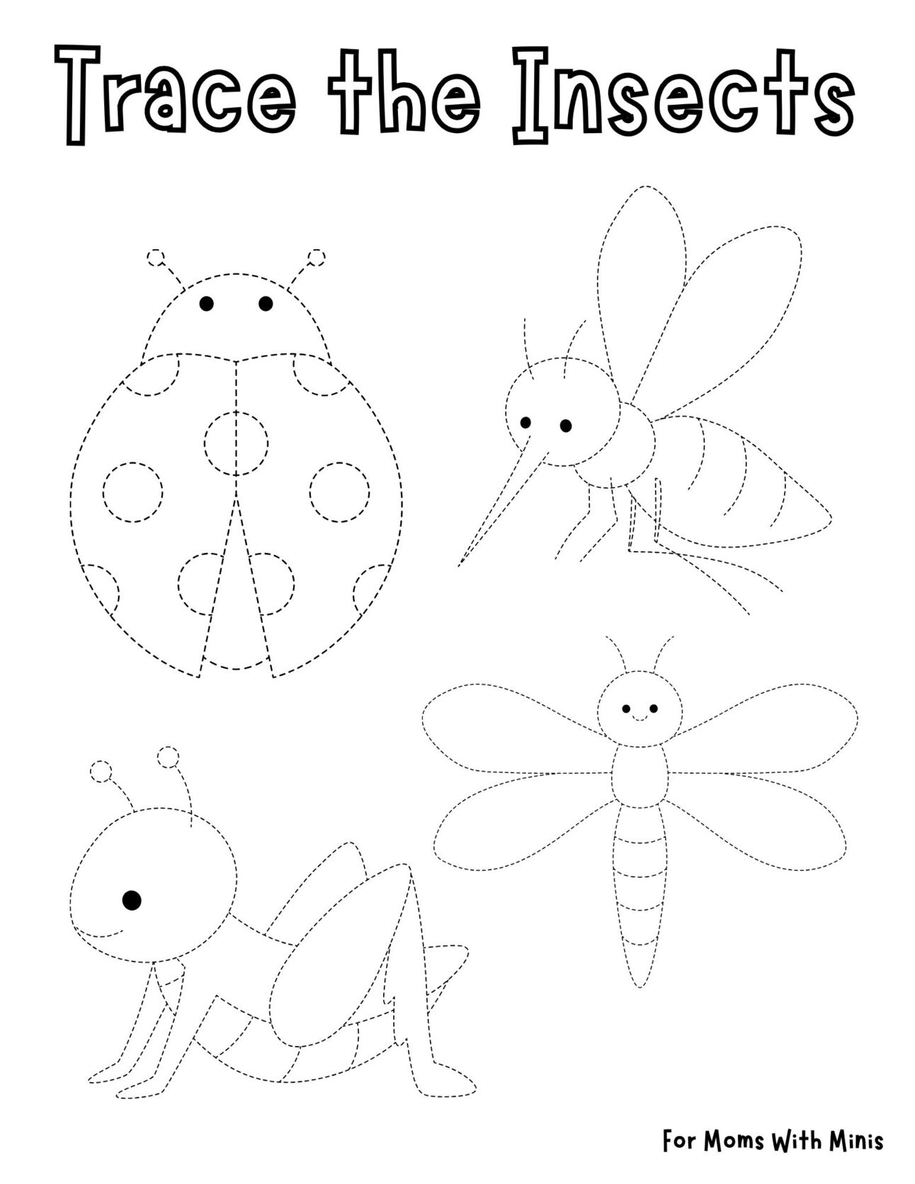 Trace The Insects Worksheet