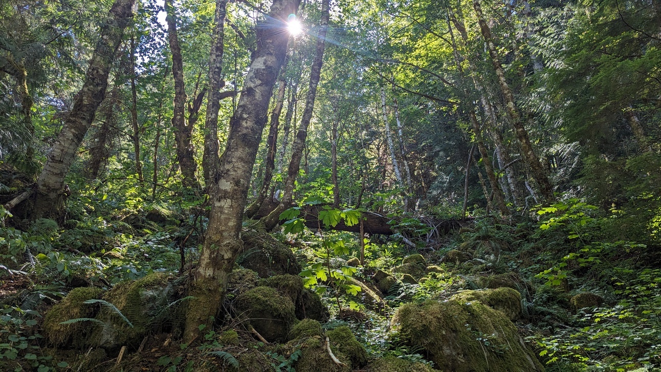 #15. Finding Zen in Motion: The Power of Active Meditation