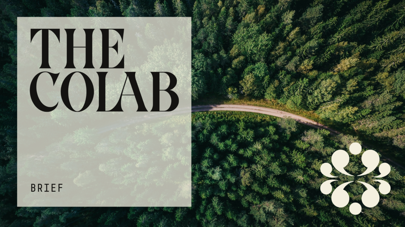 The Colab Brief - 151: The New Rules of Engagement
