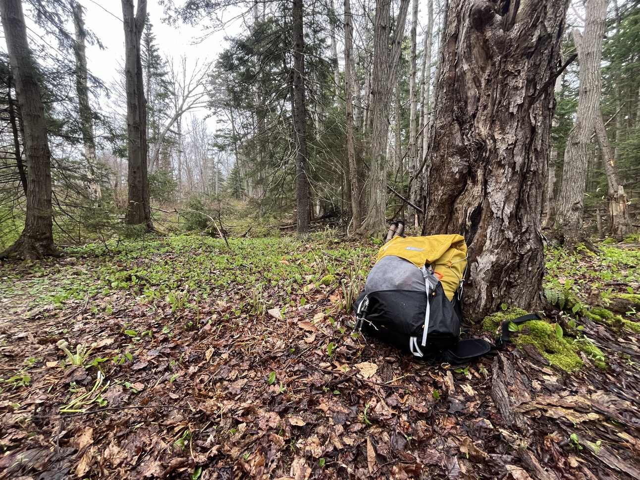 My Outdoor Resumé, Part One