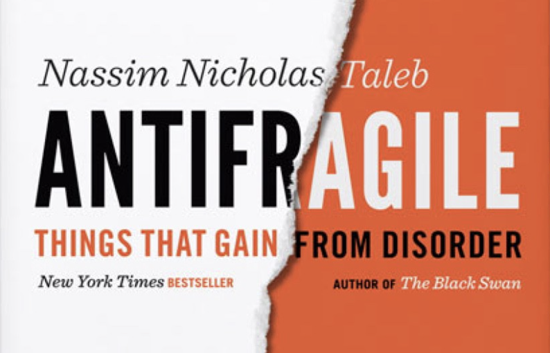 Are There Such Things as Anti-Fragile Stocks?