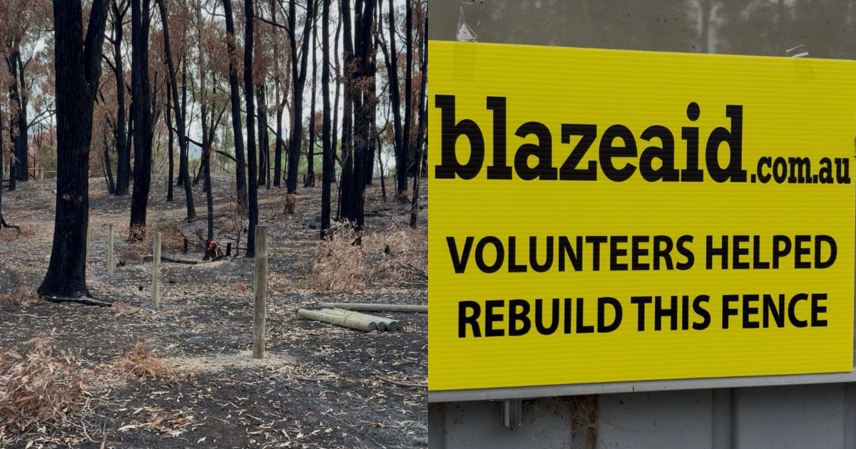 What is BlazeAid, and why has it set up camp near Gellibrand?