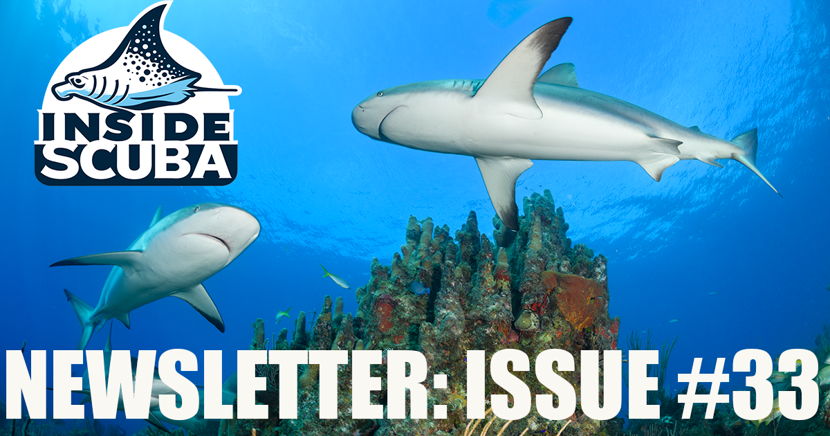 Inside Scuba Issue #33