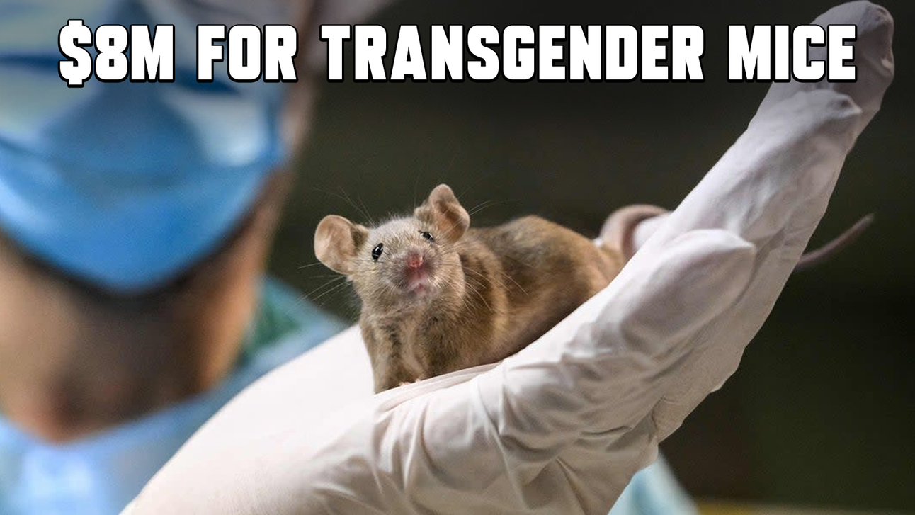 🌊 “$8M For Making Mice Transgender”