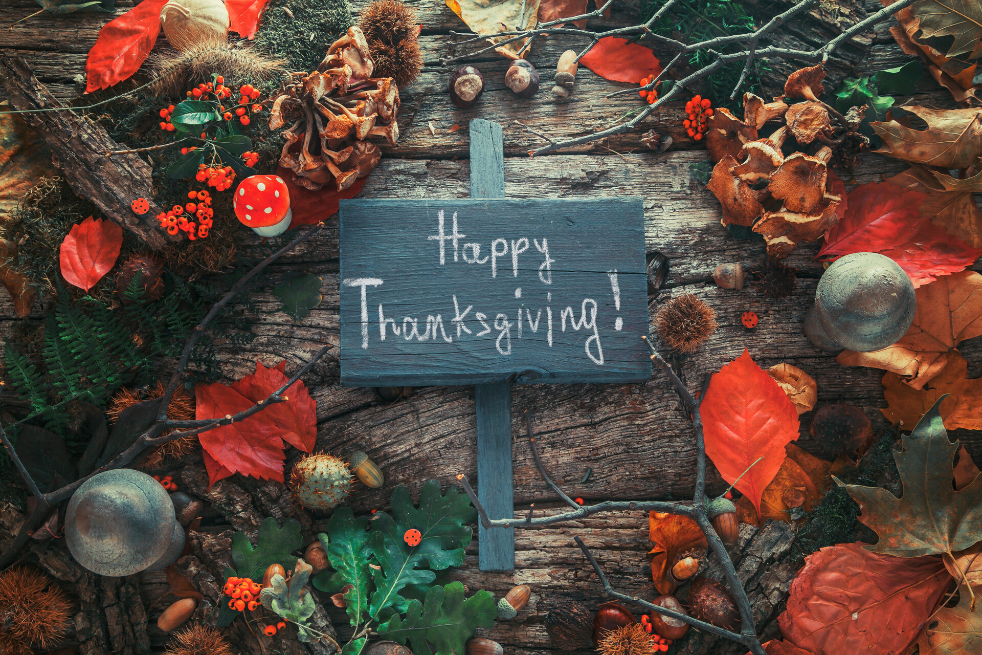 This Week in Raleigh: Happy Thanksgiving, Trophy Trot, Merry & Bright