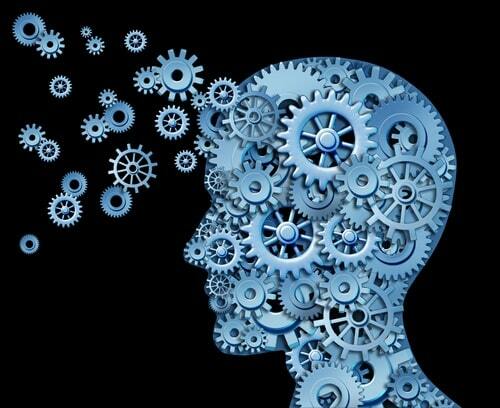 My Vote For the Meaning of Life is the Simulation Model