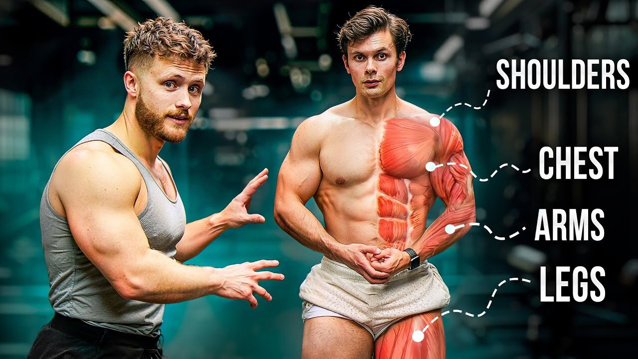 🏋️‍♂️ The best exercises for every muscle group