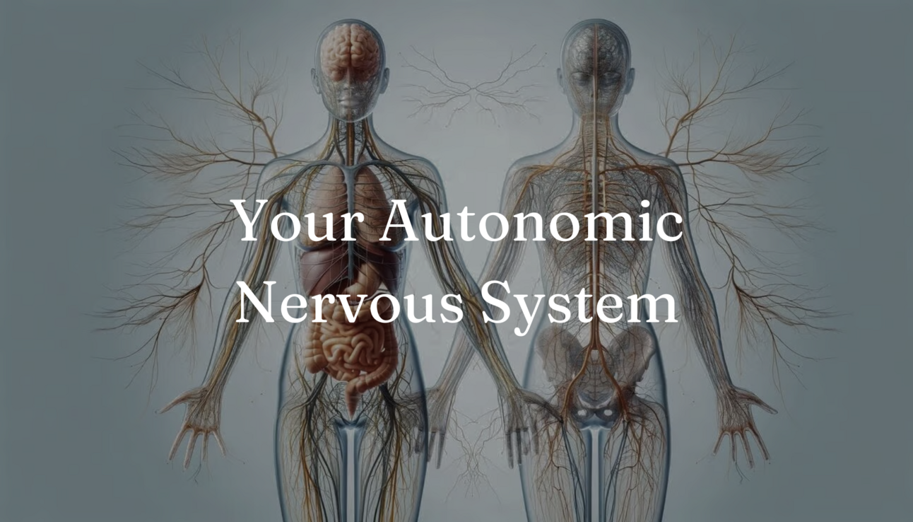 How well do you know your autonomic nervous system?