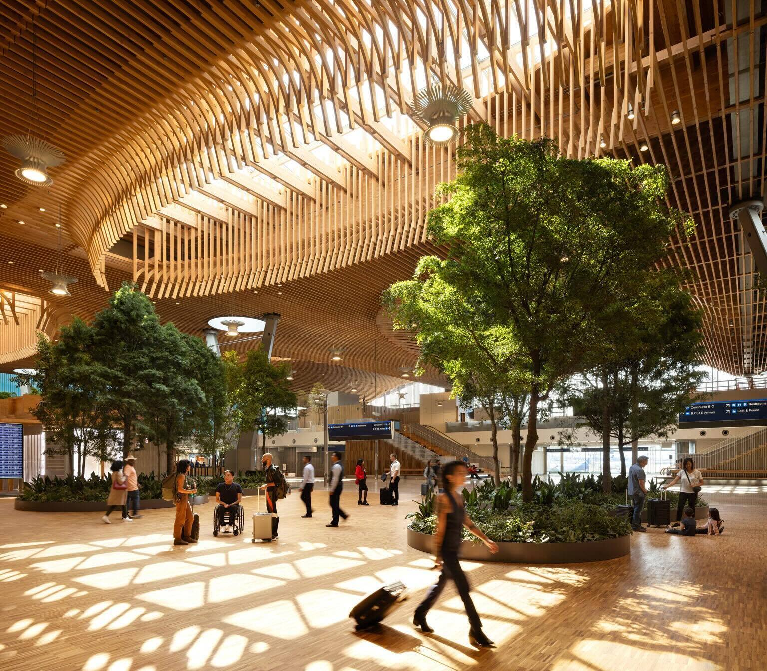 Portland’s New PDX Airport Features a 9-Acre Timber Roof and 5,000 Live ...