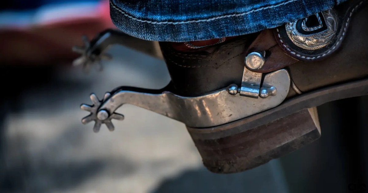 Types Of Spurs: A Comprehensive Guide To Choosing The Right Spur For Y