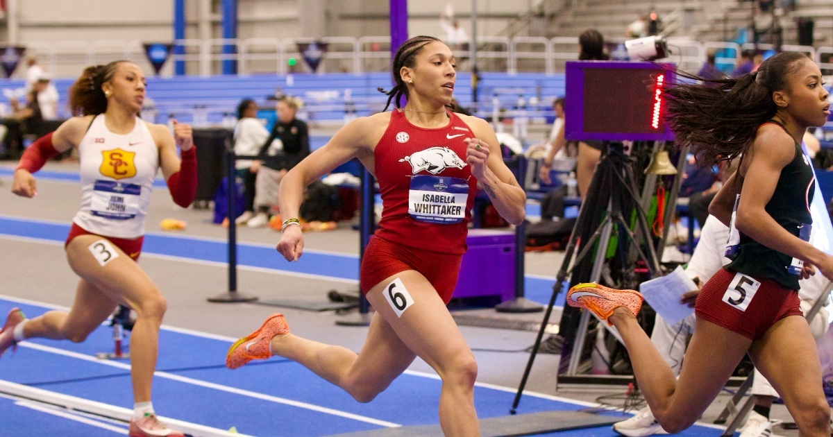 Madness In March ⏱️