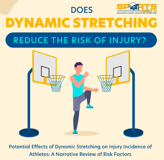 The Dynamic World of Stretching: Can it Prevent Injuries? 🏃‍♂️💪