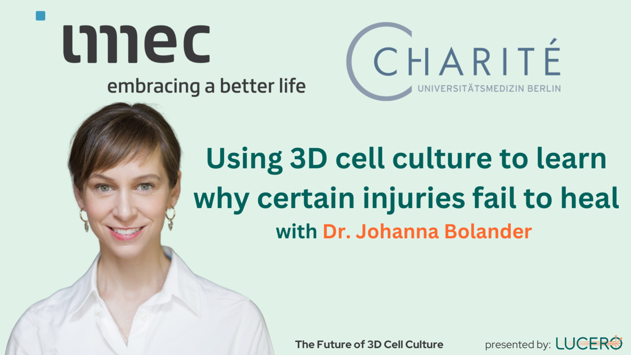 3D Bone and Cartilage Models to Understand Tissue Regeneration