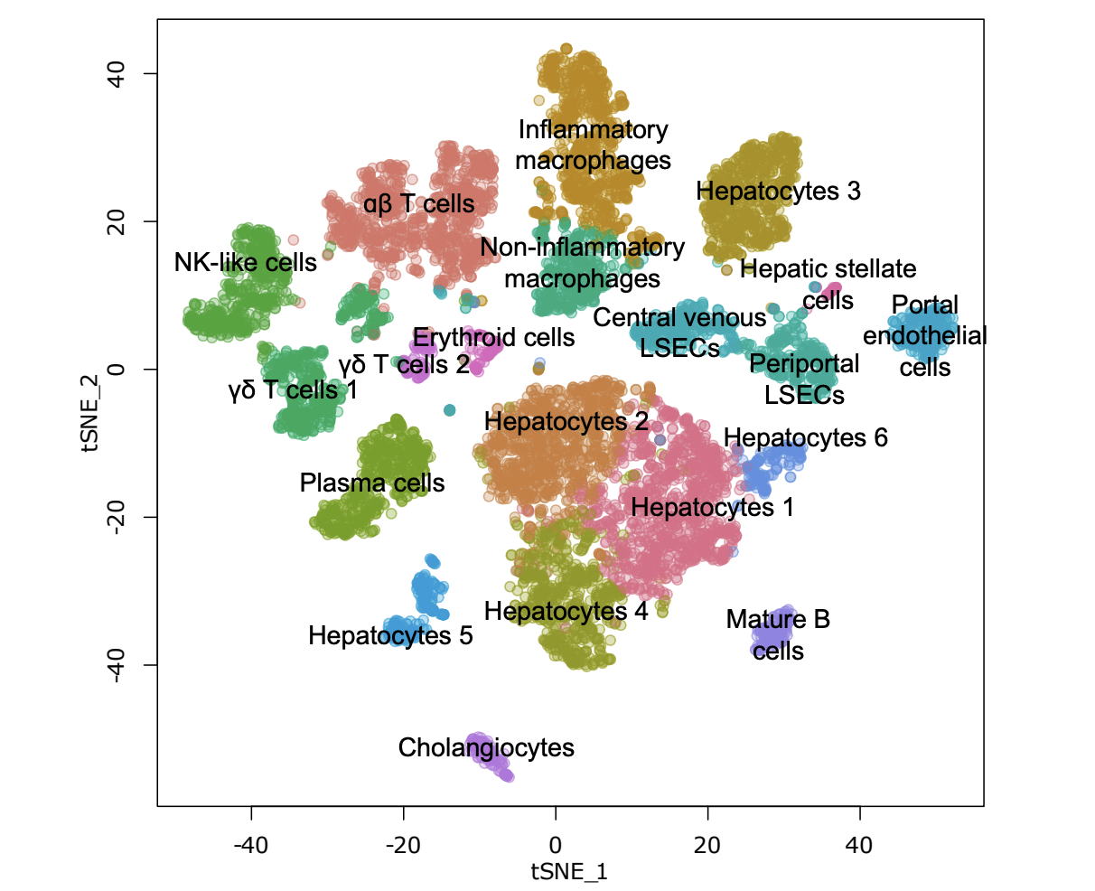 Foundation models for single-cell RNA-seq