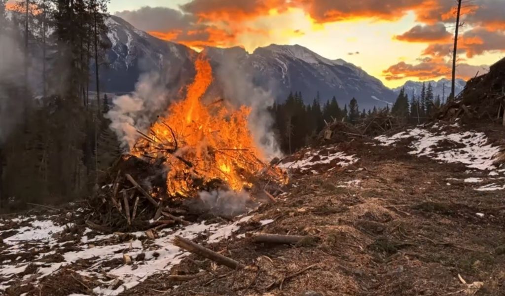 Fire Guards Around Canmore Could Pull Wildlife Out of Town, Biologists Say