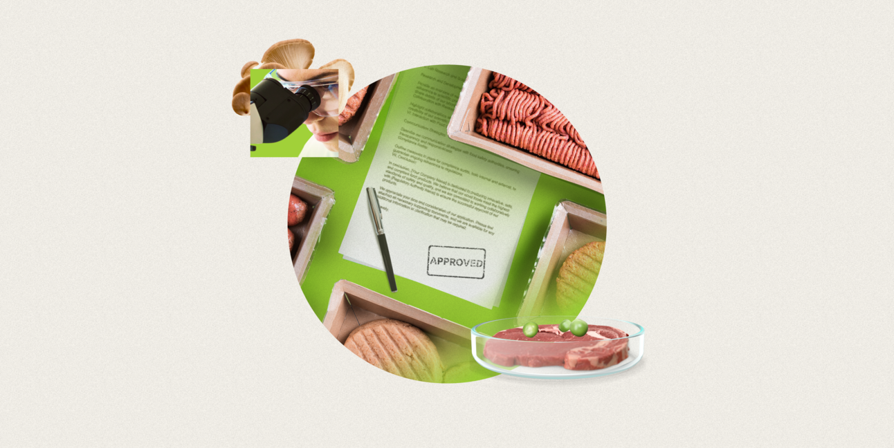 🥩 HackTrends: Novel Food Authorisation