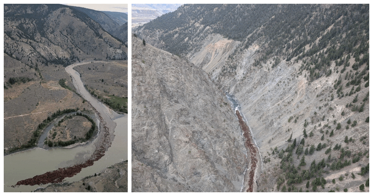 The Fraser River's trusty debris trap and its Chilcotin challenge