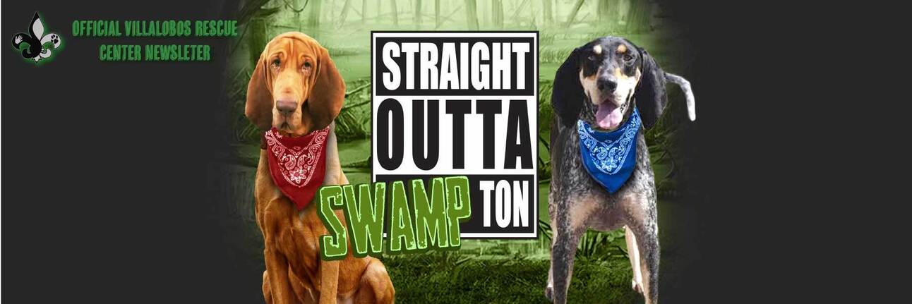 Straight Outta Swampton- Hello 2026