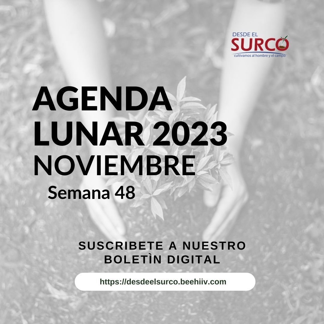 Agenda Lunar Desde El Surco 2023: Noviembre
