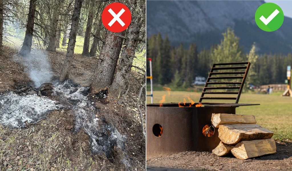 Parks Canada Issues Warning After Illegal Campfire Nearly Sparks Forest ...