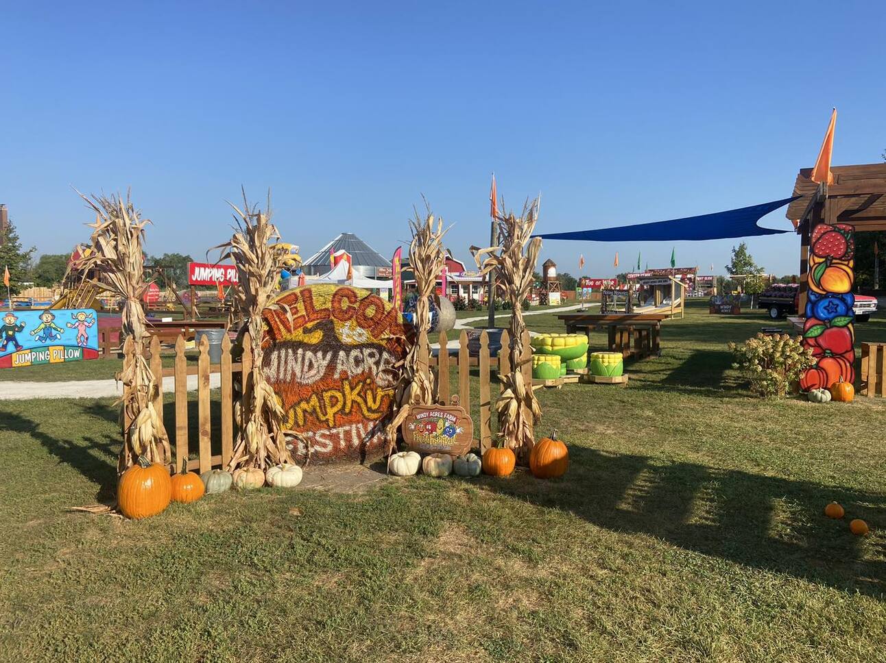 Local fall festivals in the Tri-Cities area