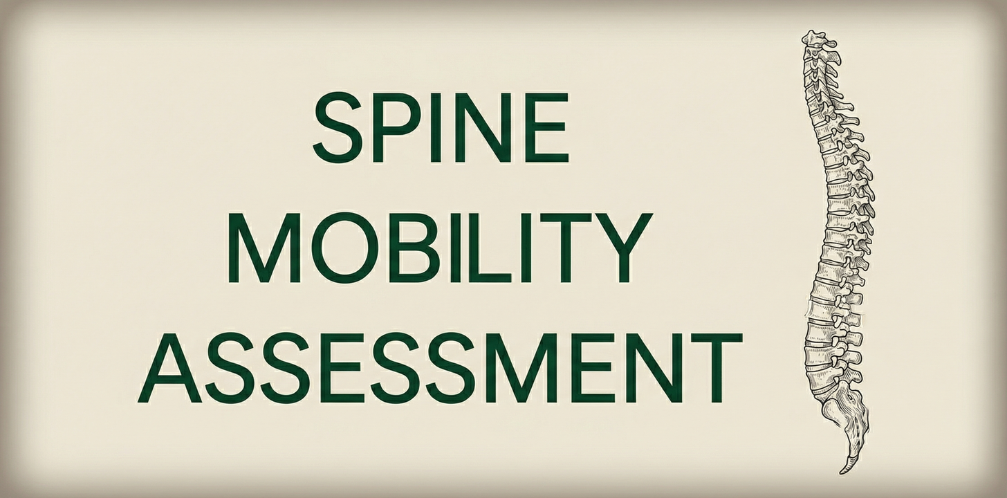 Your Spine Holds All The Answers!