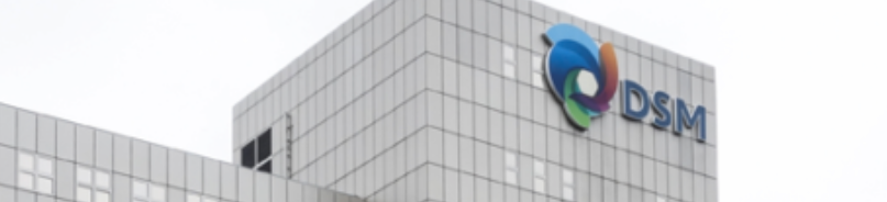 🏭 Dutch State Mines