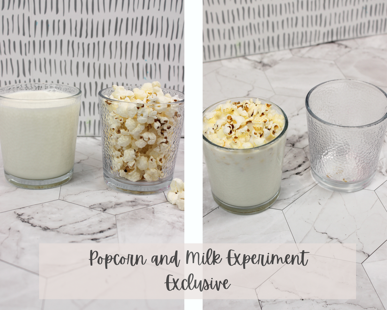 Popcorn & Milk Experiment w/ Printable & Video! {Exclusive} SOLD