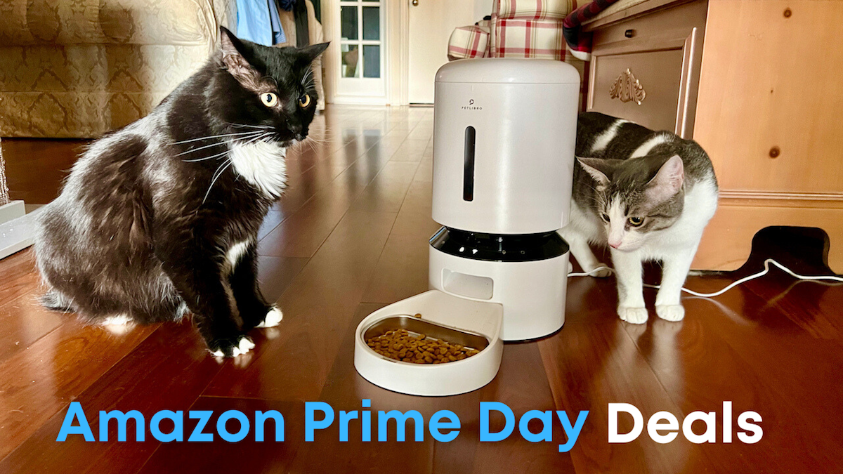 The Kitty Sheet July 17, 2024 - Amazon Prime Day Picks!