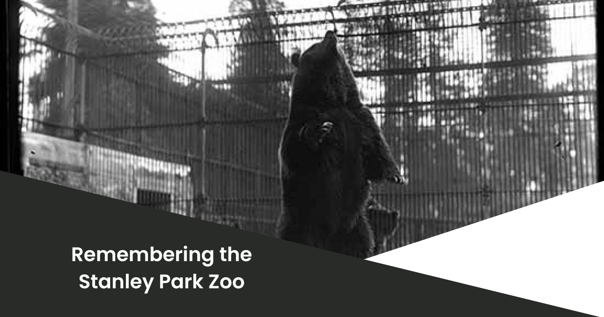 March 26 edition: Remembering the Stanley Park Zoo
