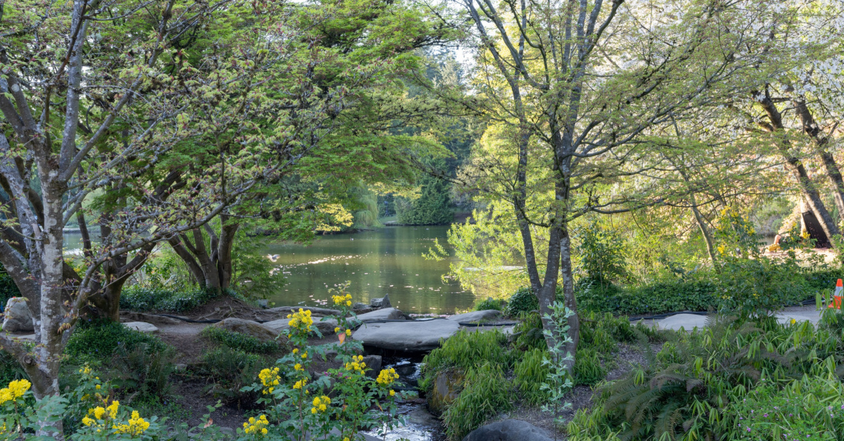 What to do around Burnaby’s Patterson Station