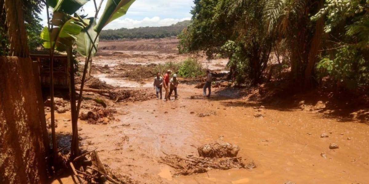 Remembering recent environmental disasters in Brazil