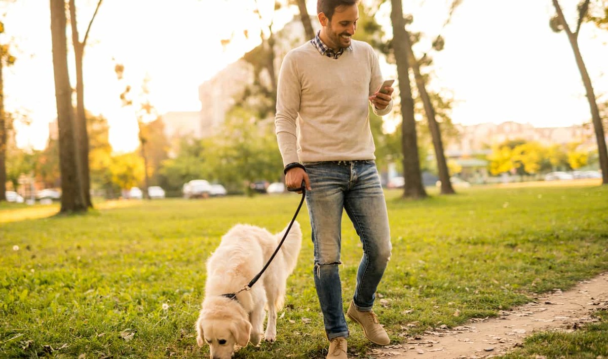 13 Legit Apps That Pay You to Walk