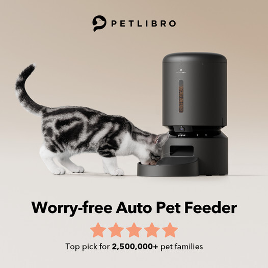 Petlibro Air Automatic Pet Feeder Review