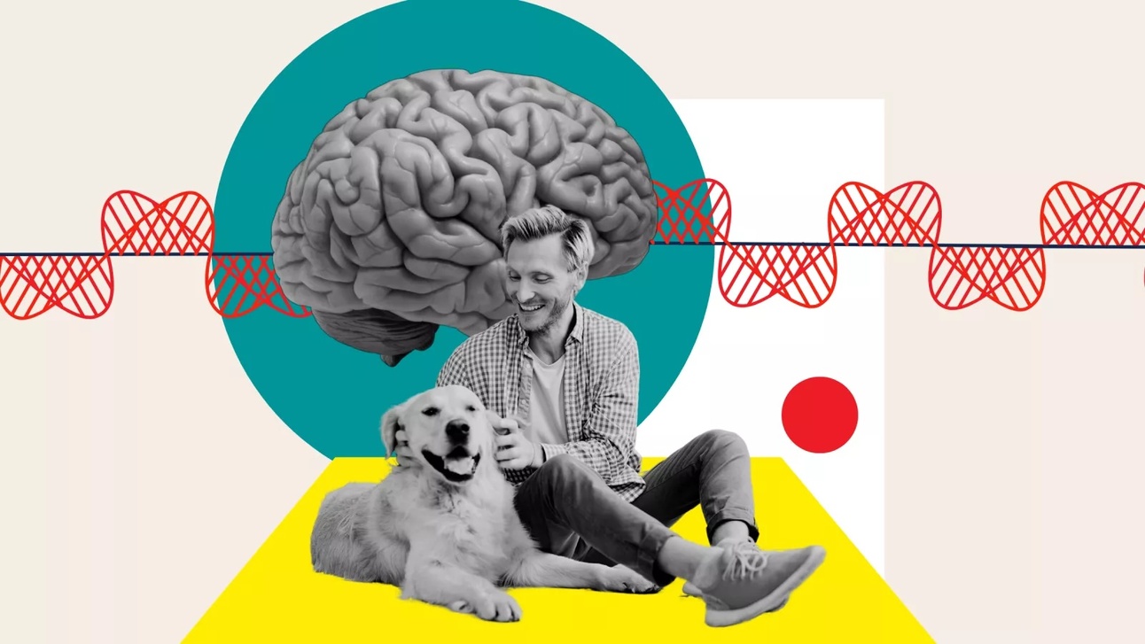 🔑 Study FINALLY Proves Dogs Are the Key to Mental Health