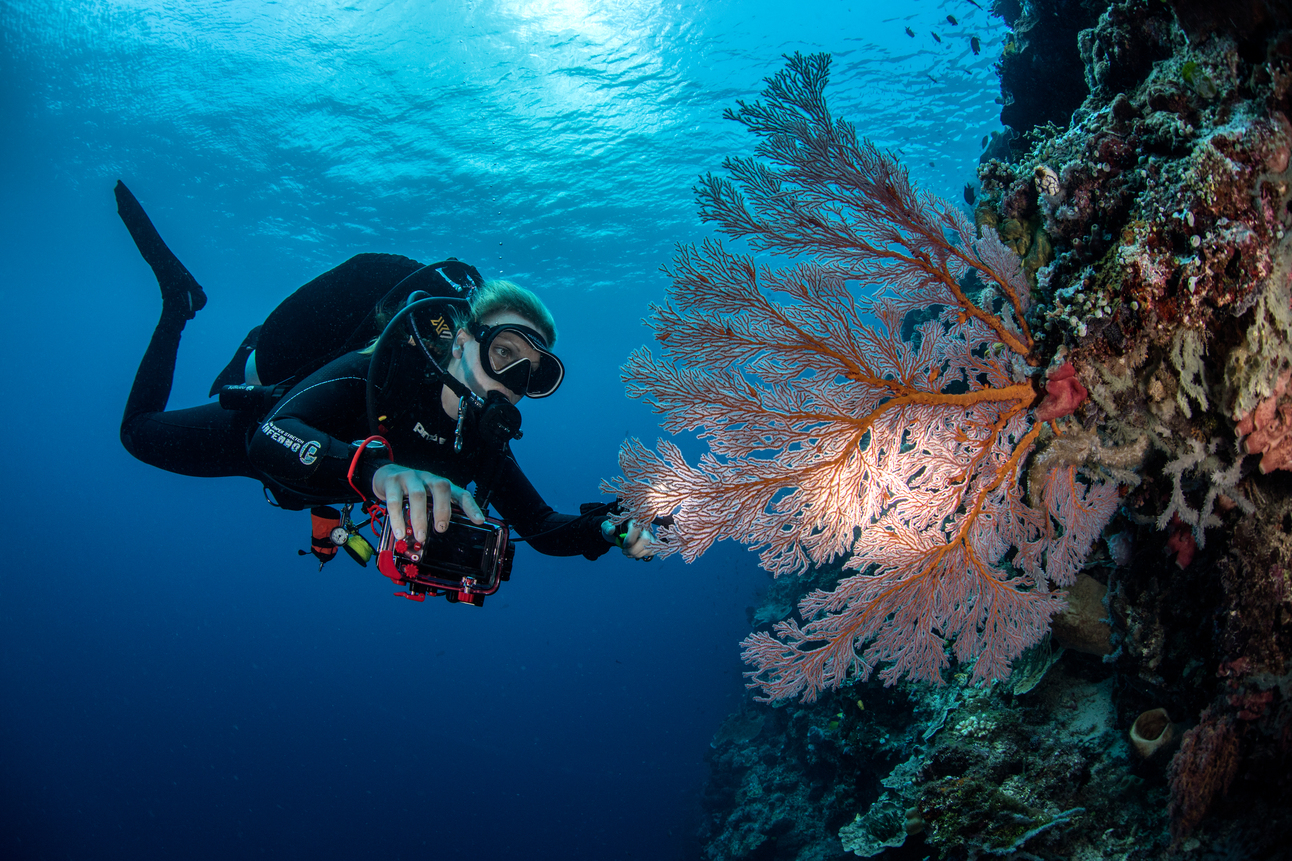 Buying Your Own Dive Equipment: What Should You Buy and When?