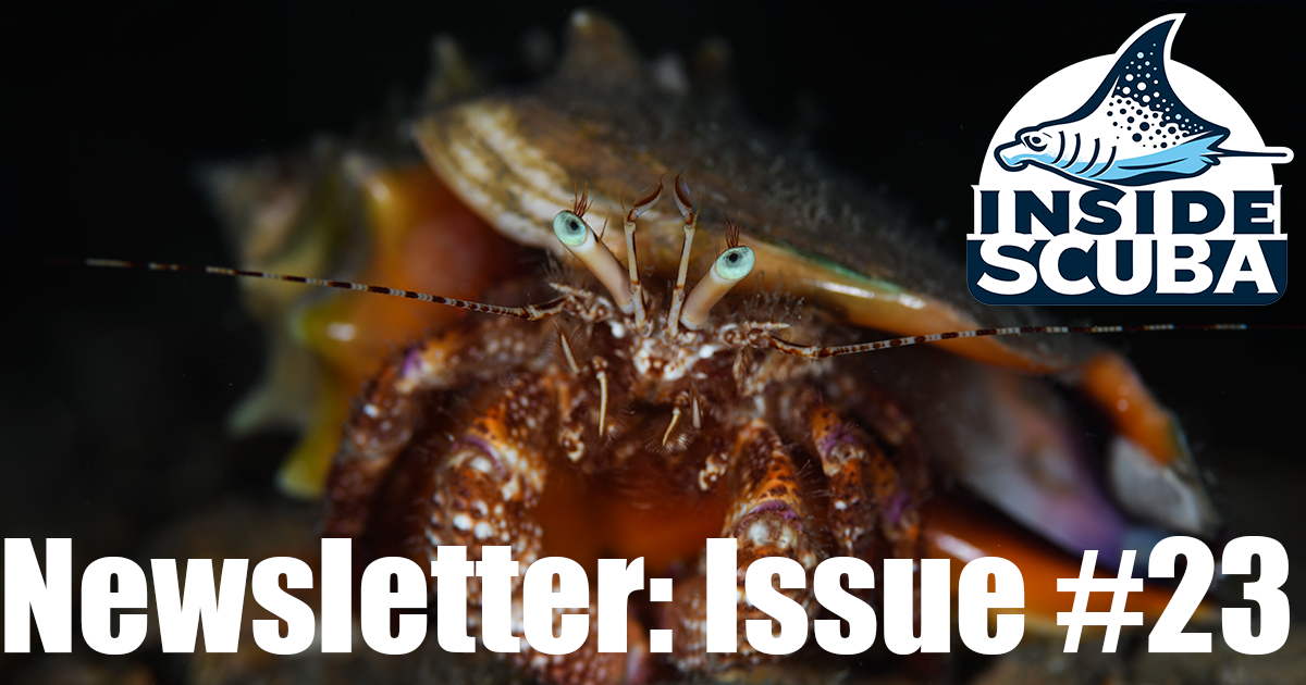 Inside Scuba Issue #23